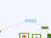 Cell Kingdoms - Concept Map